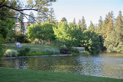 Communities Robin Sells Davis