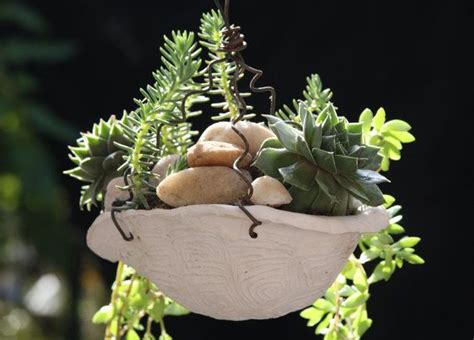 Turtle Shell Planter With Succulents Shell Planter Succulents Trees