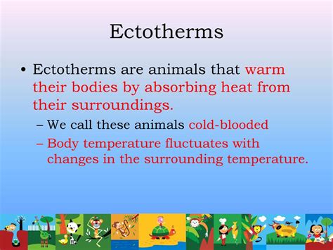 Animal Adaptations Ppt Download