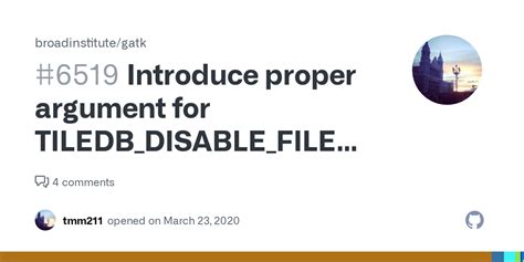 Introduce Proper Argument For Tiledbdisablefilelocking In Genomicsdbimport · Issue 6519
