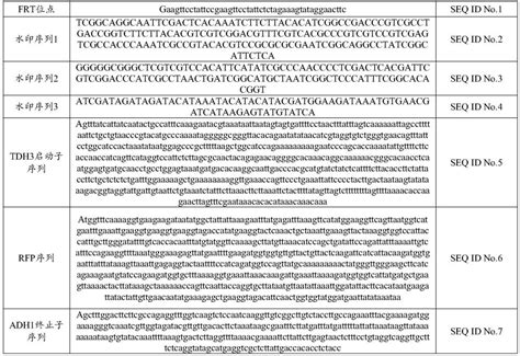 重排元件及其应用的制作方法 重排元件及其应用的制作方法