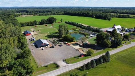 White Feather Farm
