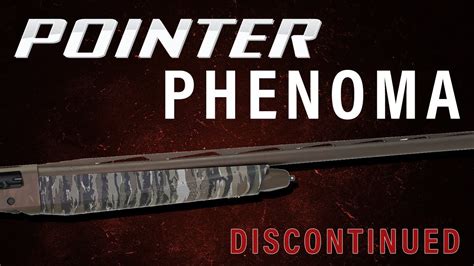 Pointer Phenoma 410 Semi Auto Shotgun Youtube