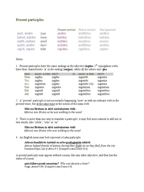 Latin Participles Overview Pdf Verb Grammar