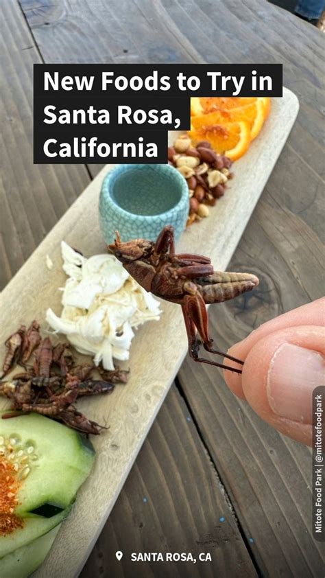 New Foods To Try In Santa Rosa California California Food New