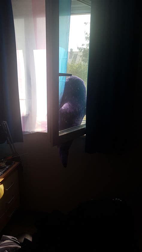 He enjoying the view : r/BLAHAJ