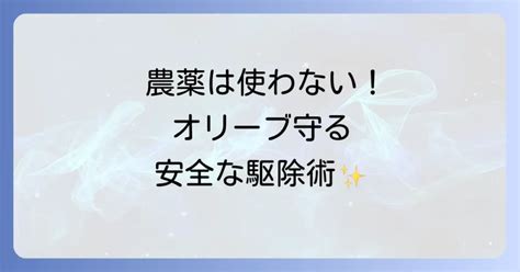 オリーブの天敵ゾウムシに効く殺虫剤は？駆除方法から予防策まで徹底解説 Miraiguide