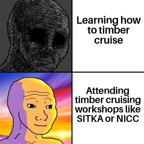 Bushmonkeymemes • Instagram Photos And Videos