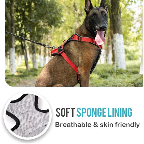 Ham Si Lesa Pentru Caini Cu Benzi Reflectorizante Si Maner De Control Materiale Premium
