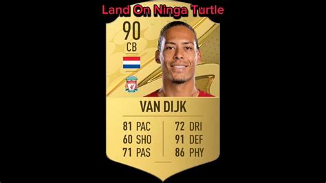 Land On Ninga Turtle Youtube