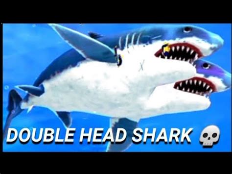 Double Head Shark Full Vedio Shark Ki Danger Shark Complete Vedio Dekha