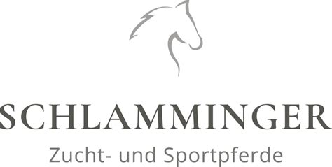 Hengste Schlamminger Sportpferde