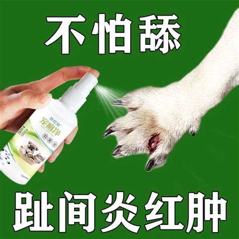 Pet Licking Is Also Safe Dogs Interdigital Toe Infection Special