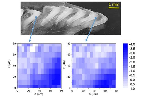 Figure S14 Strain Maps Bottom Obtained By X Ray Microdiffraction