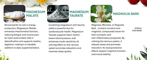 Adndale 90ct 15 In 1 Magnesium Glycinate Gummies 400 Mg