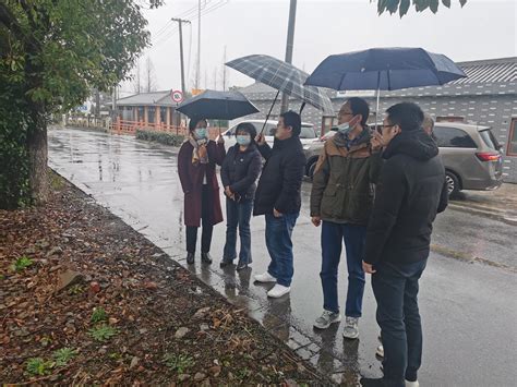 【先行区共建】畜牧兽医所一行赴金山推进先行区共建工作先行区共建新闻中心上海市农业科学院