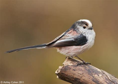 Pin On Dunamic Sketching