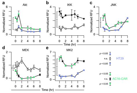 Multiplex Kinase Activity Profiling Of Time Dependent And Cell Specific