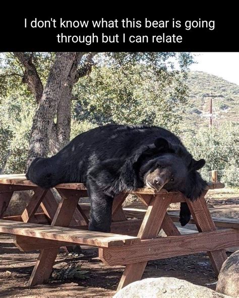 Same Bro Same R Memes
