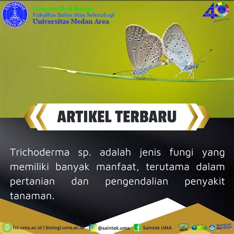 Manfaat Trichoderma Sp And Cara Pembiakkannya