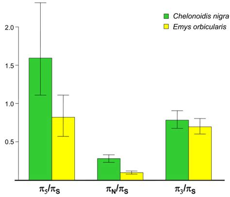 Flanking Vs Coding Region Diversity In C Nigra And E Orbicularis