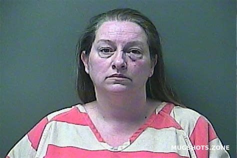 Solano Wyse Karie Lynne 01182024 Laporte County Mugshots Zone