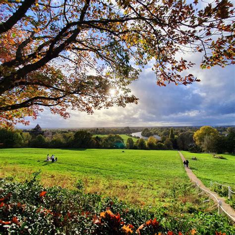 It Is A Mobile Phone Miracle Burcin Kaplanoglu Burak Kaplanoglu