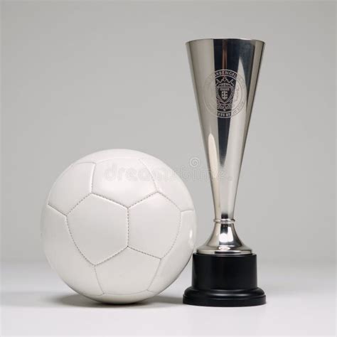Soccer Ball And Trophy Lying On The Ground Stock Illustration