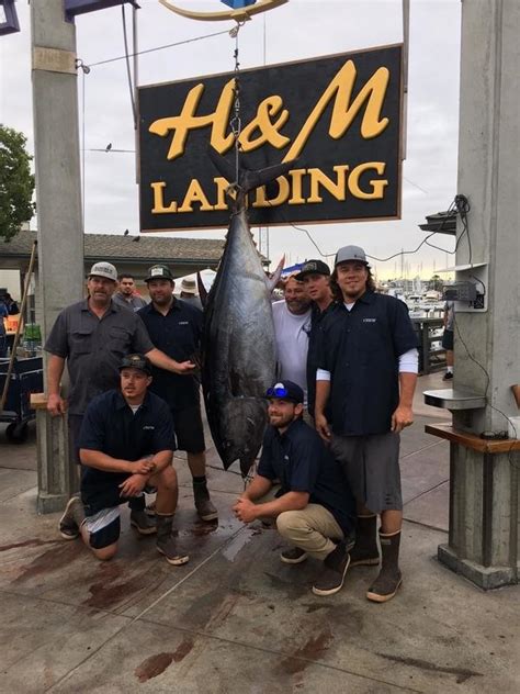 Sea Adventure 80 Fish Report Fish Report The Largest Bluefin Tuna