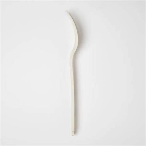 Biodegradable Fork Institute Of Making