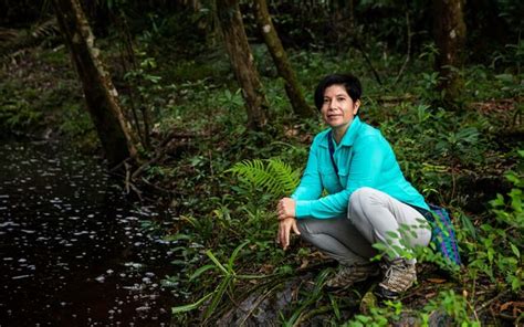 Saving The Maya Rainforest In Belize The Nature Conservancy
