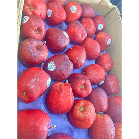 Jual Buah Apel Red Buah Apel Merah Red Dell Usa Shopee Indonesia