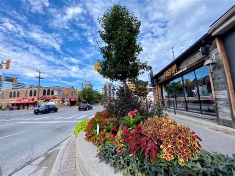 The Top Things To Do In Port Credit A Charming Waterfront Community