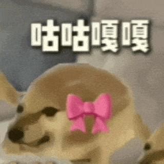 摸鱼表情 我的刀盾！比比拉布表情包！ 知乎