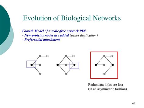 Ppt Biological Networks Graph Theory And Matrix Theory Powerpoint