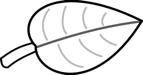 Leaves To Colour In For Beanstalk Clipart Best