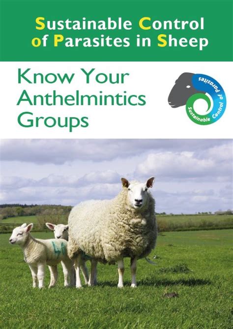 Know Your Anthelmintics Groups For 2025 Scops News