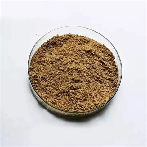 Bacillus Megaterium Powder At ₹ 1000kg Bacillus Subtilis In Vadodara Id 2855726672288