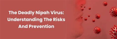 Understanding Deadly Nipah Virus Risks And Prevention