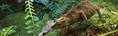 Anac Home Slider Anac