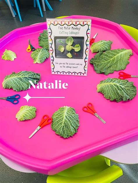 Chicka Chicka Boom Boom Chicka Chicka Boom Boom Alphabet Activity