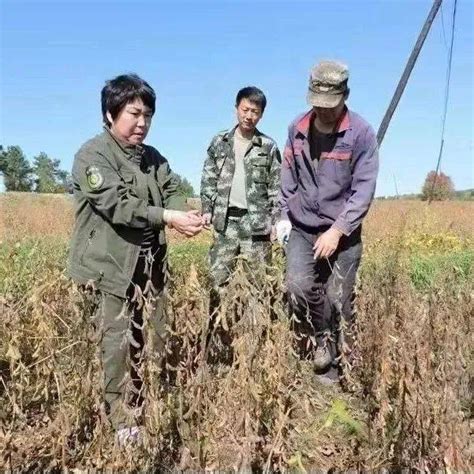 【榜样】李红梅：黑土地上的逐梦人科技技术推广呼玛县