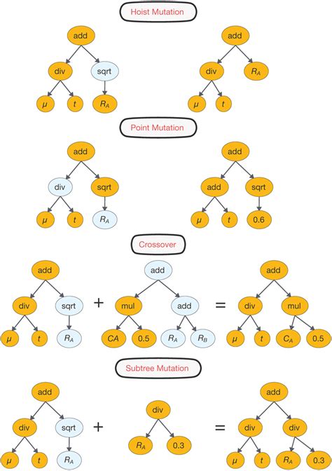 Fig S The Schematic Diagrams Of Four Genetic Operations Used In Download Scientific Diagram