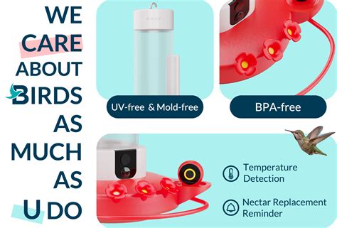 Birdfy Hum Feeder Dual Camera Smart Hummingbirds Feeder Netvue