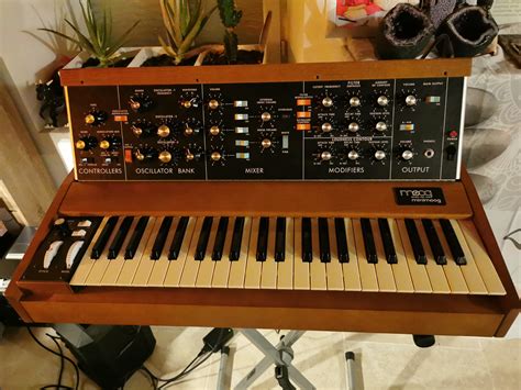 Vends Minimoog Model D 2016 Poitou Charentes Audiofanzine