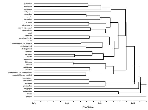 Upgma Dendrogram Based On Morphological Characters Download Scientific Diagram