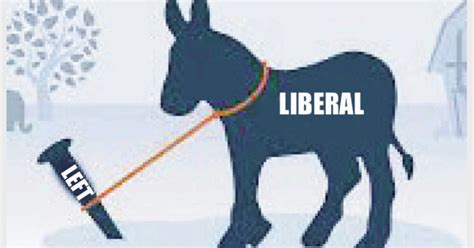 Leftist Control Over Liberals Using Trigger Words