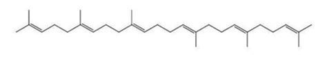 Medicinal Plants Exam 2 Flashcards Quizlet