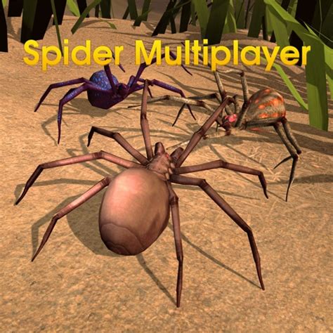 Spider Multiplayer By Boris Tsarkov