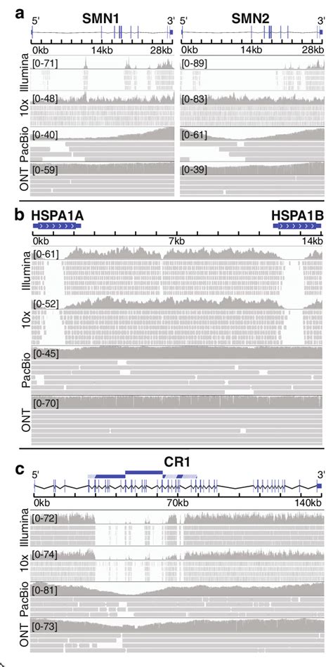 Long Read Technologies Resolve Many Camouflaged Regions With Variable